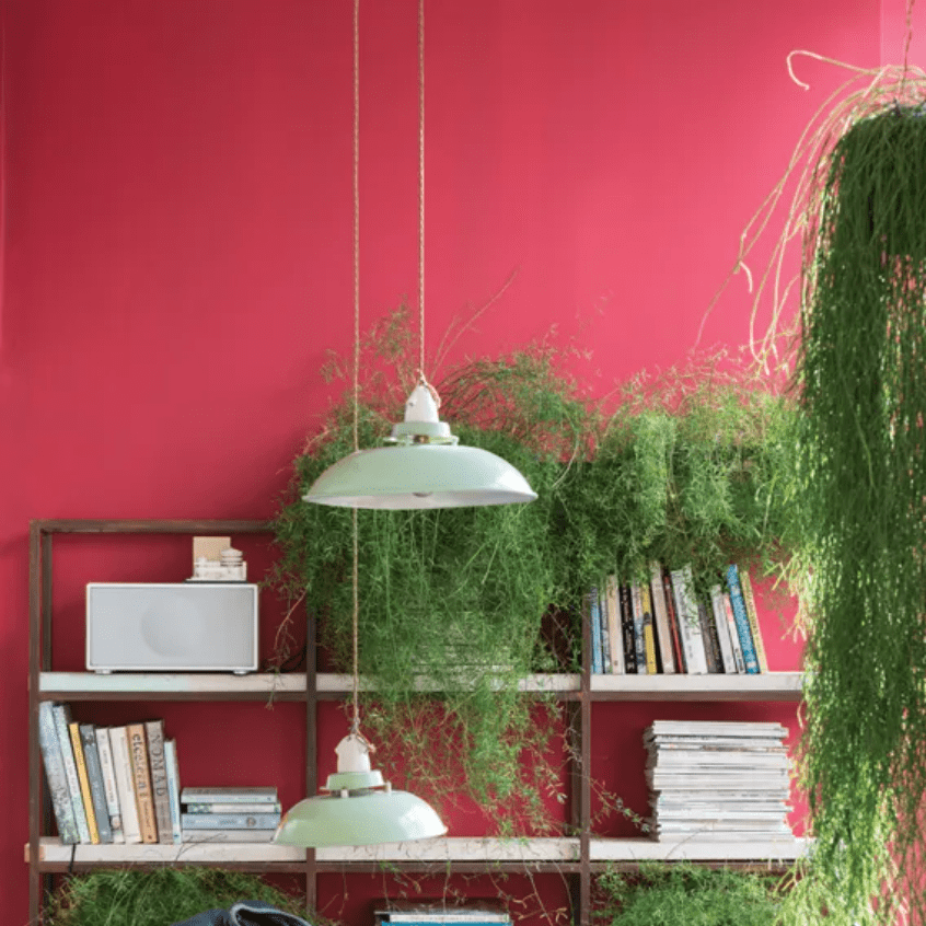 RECTORY RED N°217 – La Sélection - Sophie Ferjani