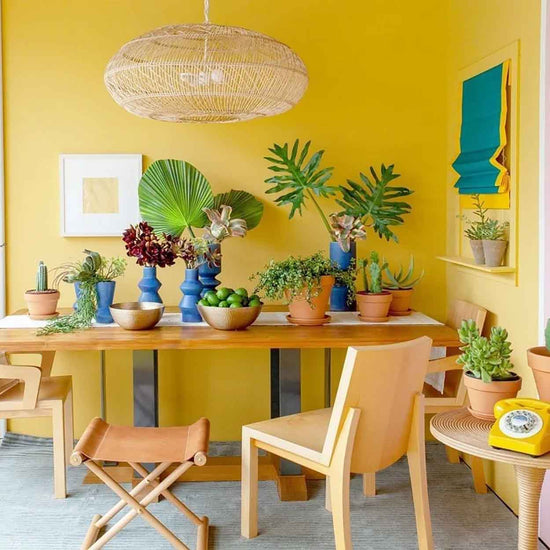 MAISON LOUIS DRUCKER - LA SELECTION SOPHIE FERJANI – La Sélection ...